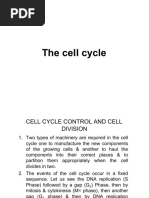 POGIL Activities For AP Biology - Cell Cycle and Regulation | PDF ...