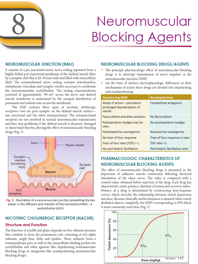 Neuromuscular Blocking Mechanisms | PDF | Neuromuscular Junction ...
