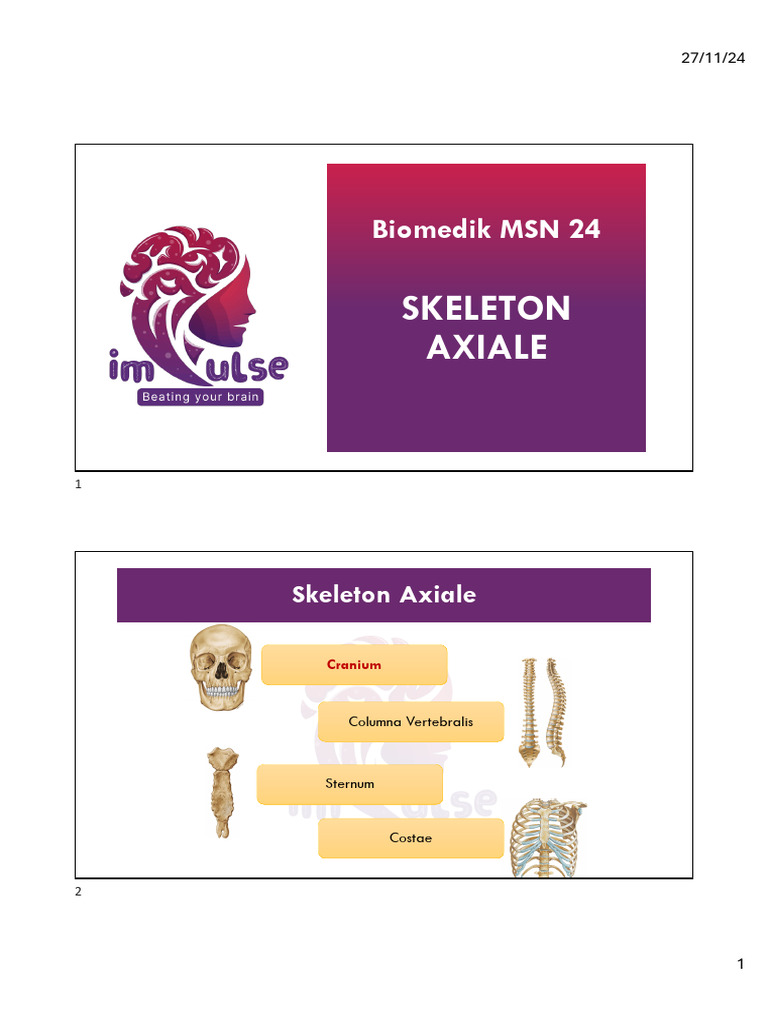 Struktur Skeleton Axiale Manusia | PDF