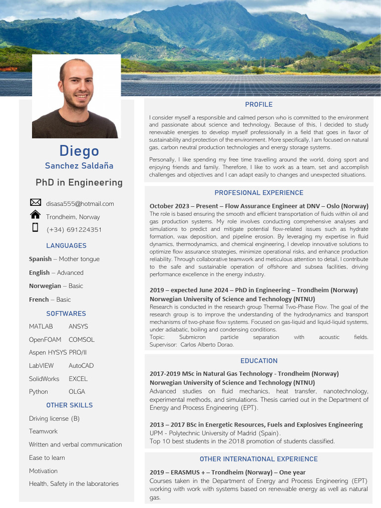 Flow Assurance Engineer Profile | PDF