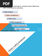 Condrogénesis y Crecimiento del Cartílago | PDF