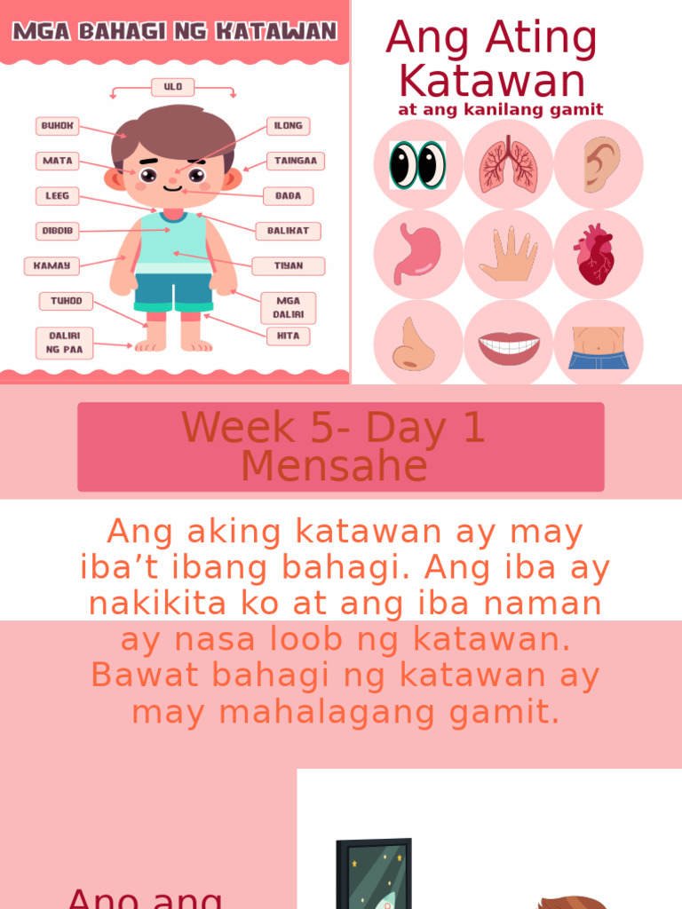 Science Ang Ating Katawan Education Presentation in Red White Simple ...