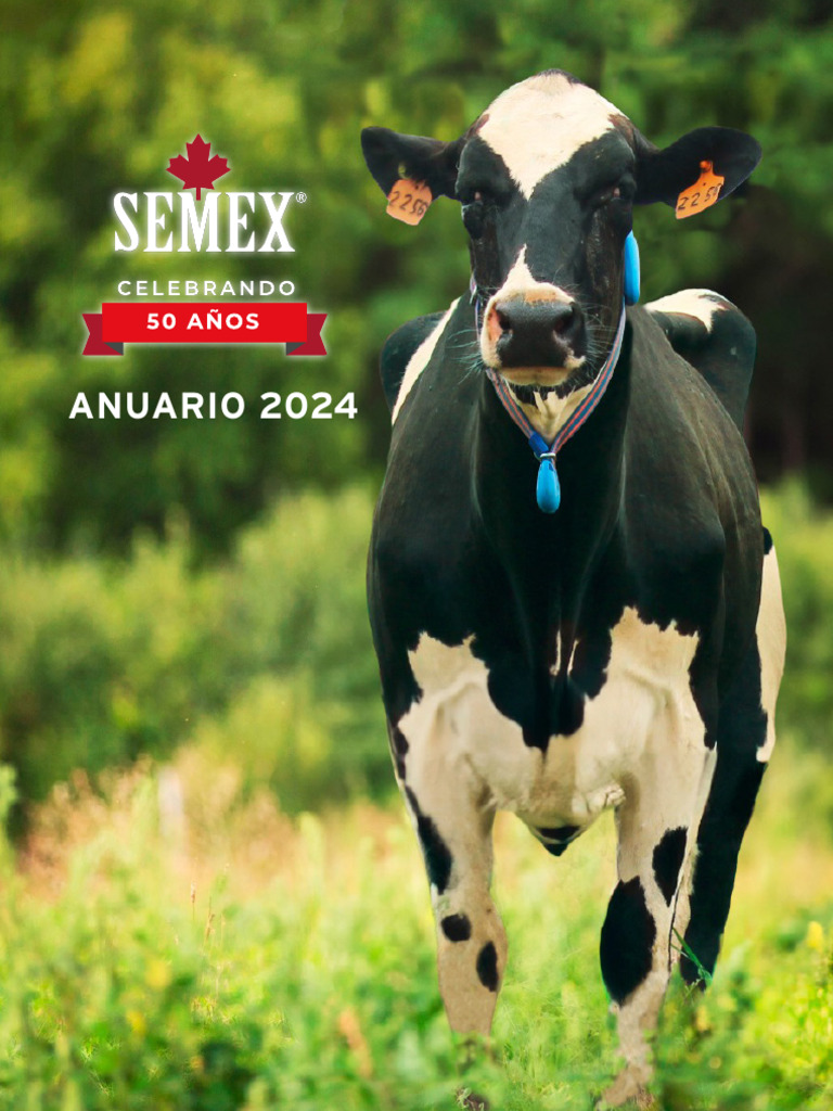 Catalogo 2024 Semex | PDF | Vacas | Queso