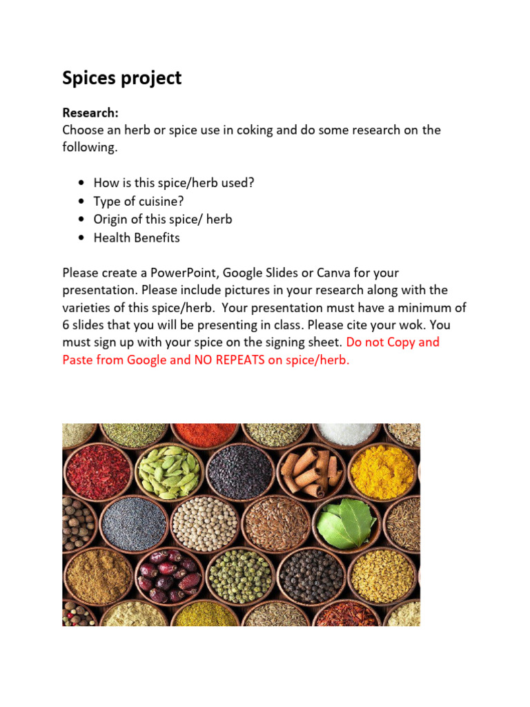 Class 2 Spices Project Guidelines | PDF