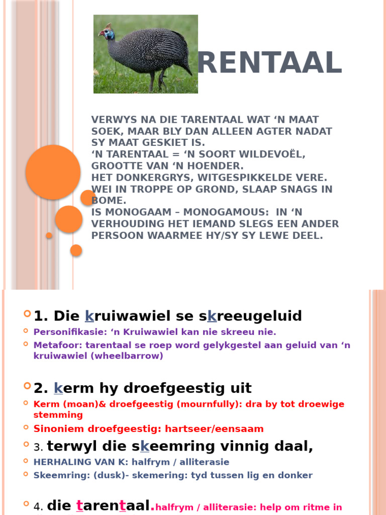 Die Tarentaal | PDF