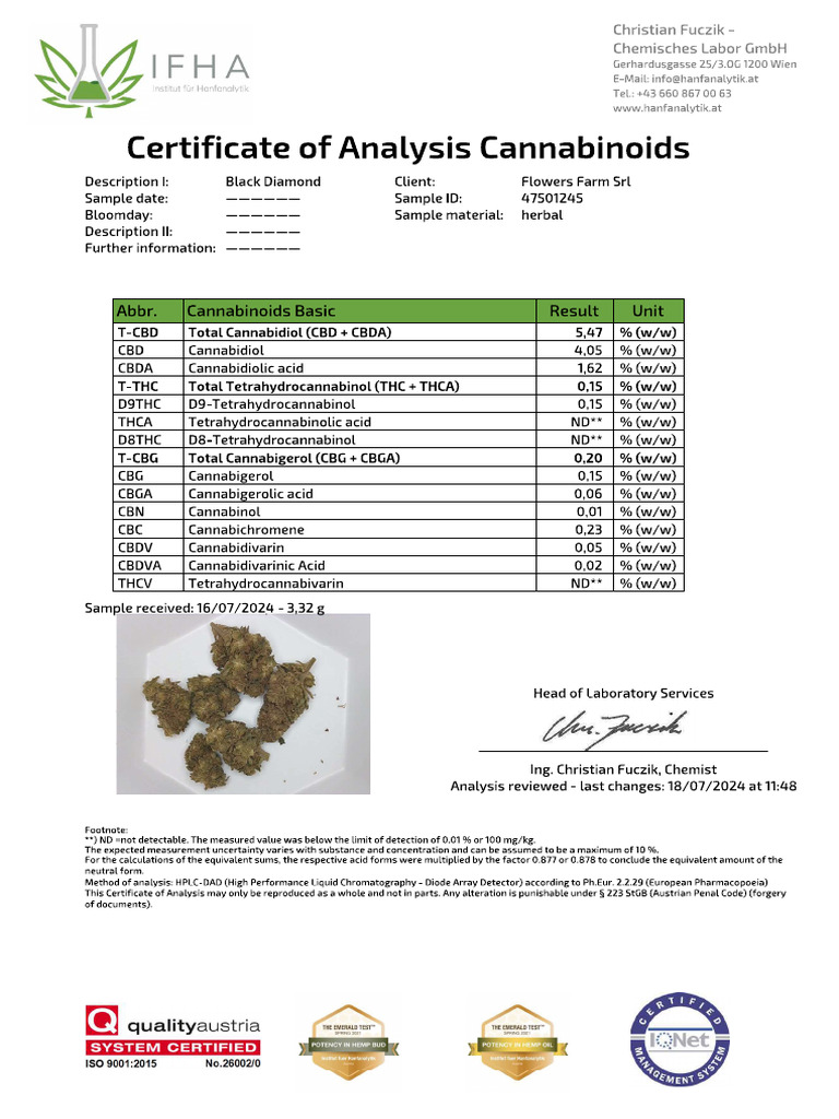 Análisis Black Diamond | PDF