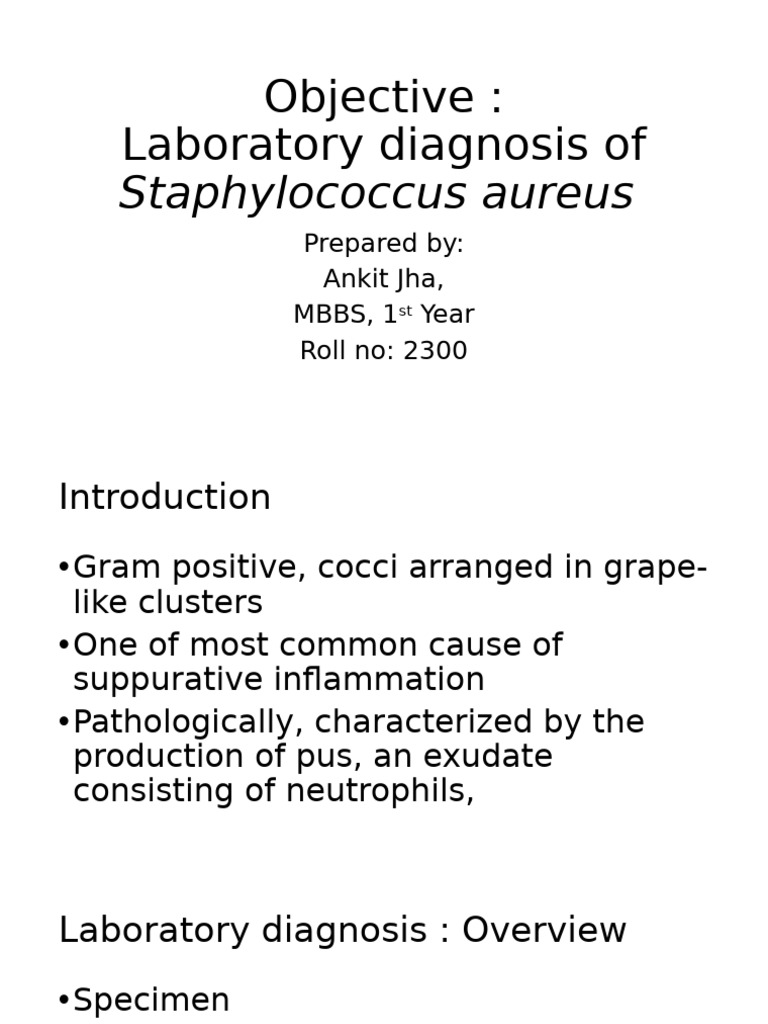 Laboratory Diagnosis of Staphylococcus aureus | PDF | Staphylococcus ...