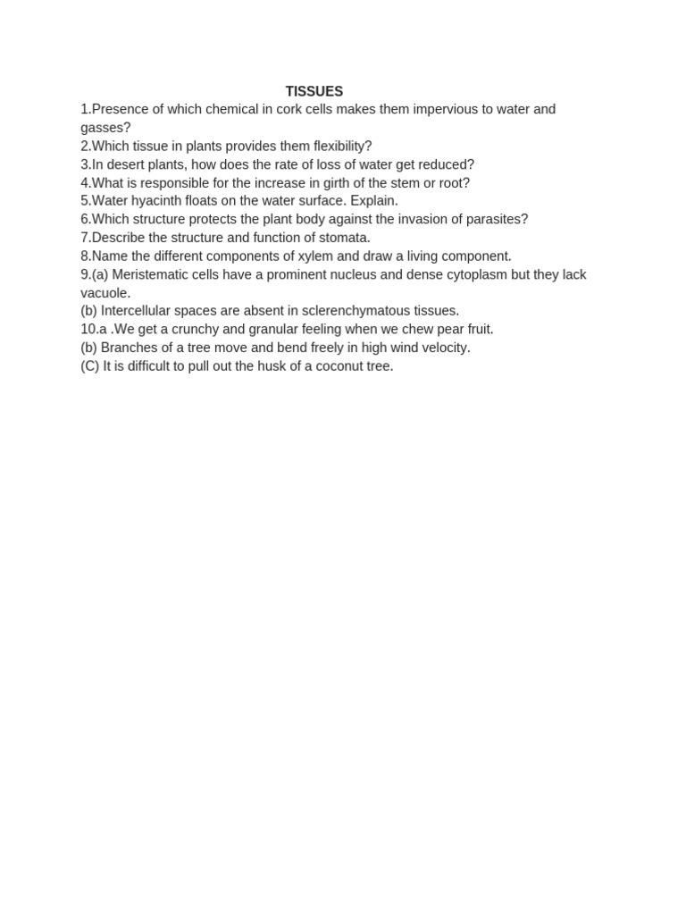 9th STD Homework | PDF