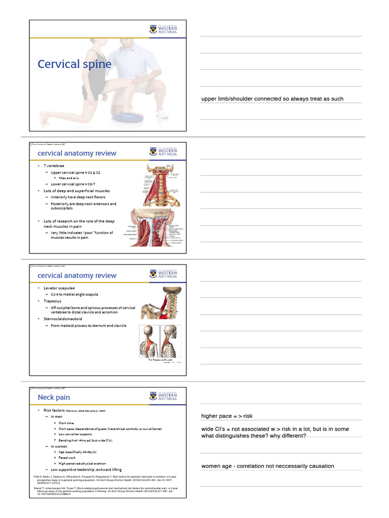 Cervical Spine Anatomy and Pain Factors | PDF | Shoulder | Limbs (Anatomy)