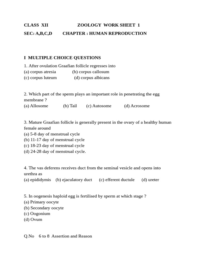 Human Reproduction Worksheet for Class XII | PDF | Menstrual Cycle | Sex