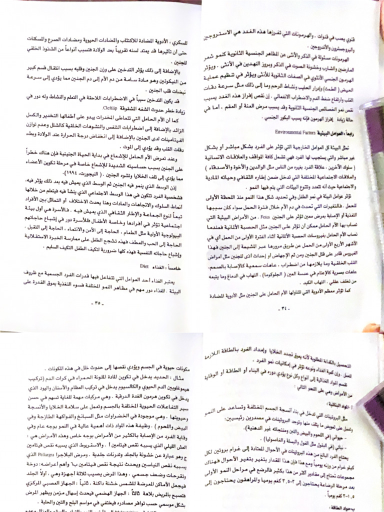 Document Scan 2 | PDF