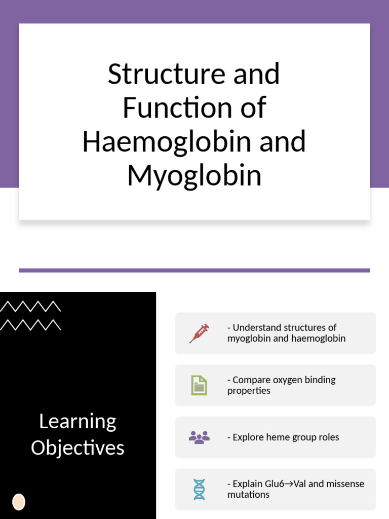 Myoglobin and Haemoglobin Structures | PDF | Hemoglobin | Molecular Biology