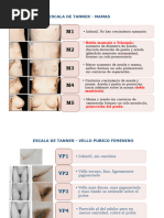 La Escala de Tanner | PDF