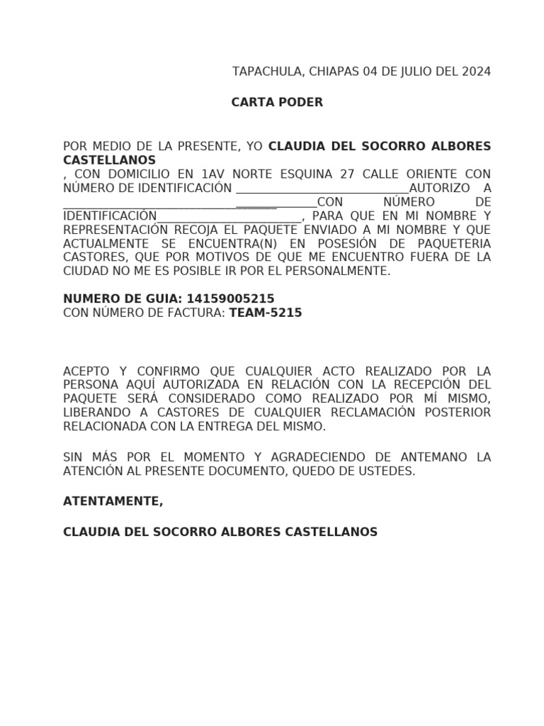 Machote Carta Poder | PDF