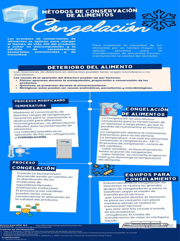 Proceso de Congelacion | PDF | Alimentos | Química