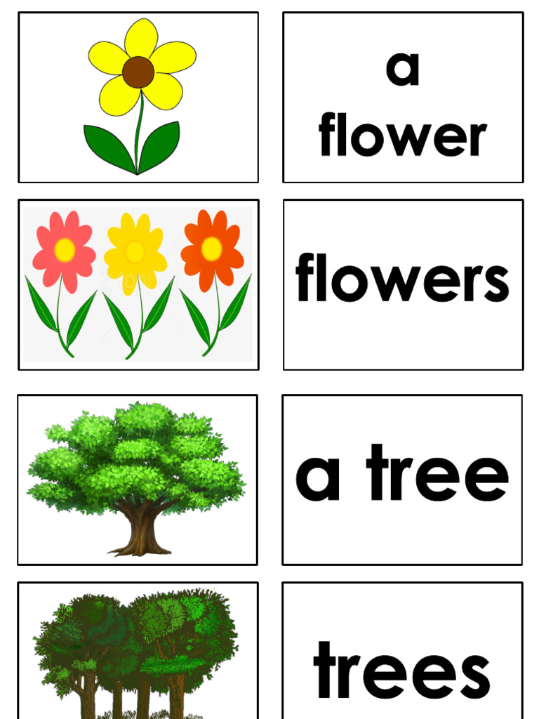 b2 w2 Flashcards | PDF