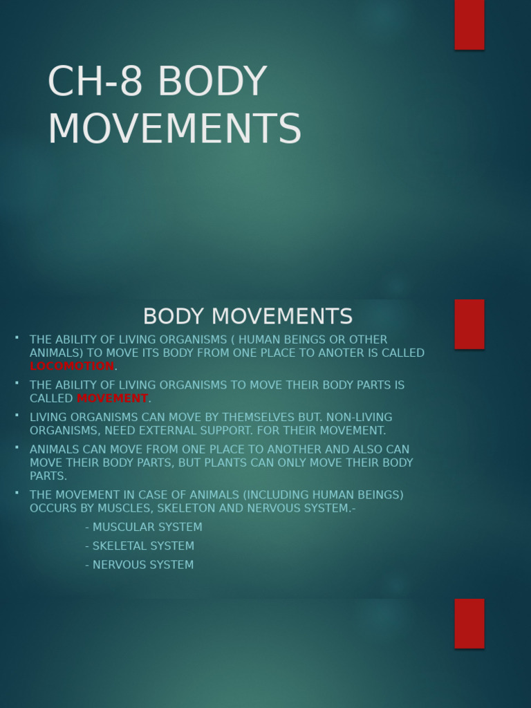 Human Skeleton and Body Movements | PDF | Skeleton | Shoulder
