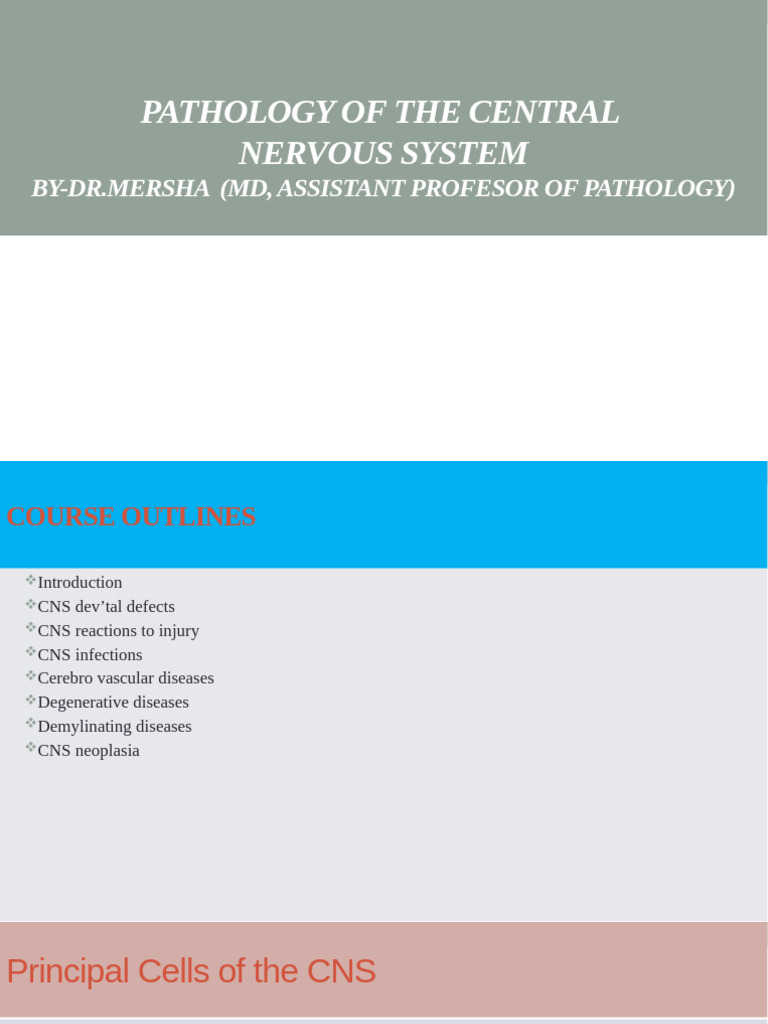 2.CNS PATHOLOGY Asella PPT Lec | PDF | Stroke | Meningitis