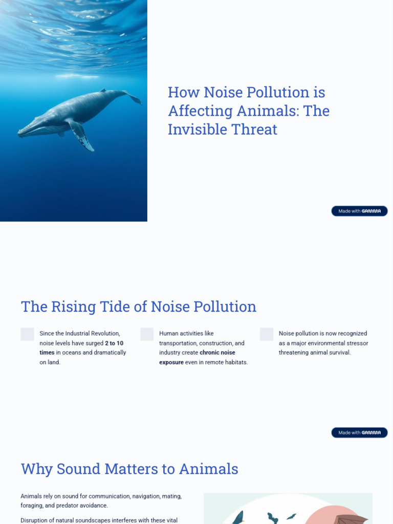 How Noise Pollution Is Affecting Animals The Invisible Threat | PDF ...