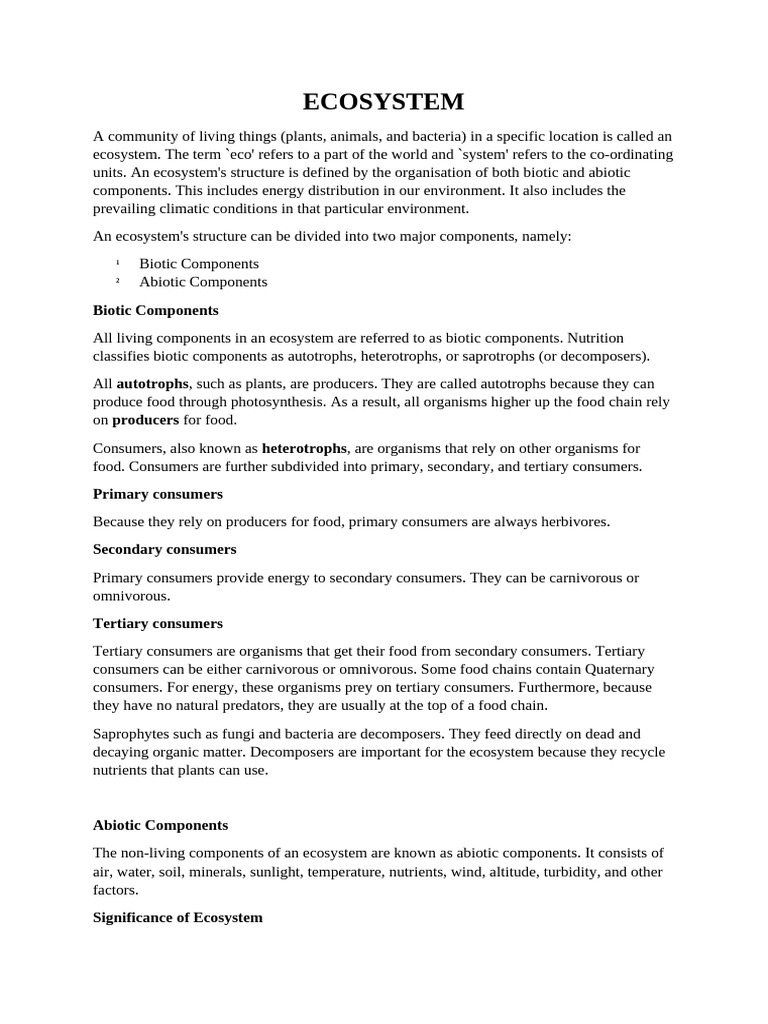 Ecosystem | PDF | Ecosystem | Food Web