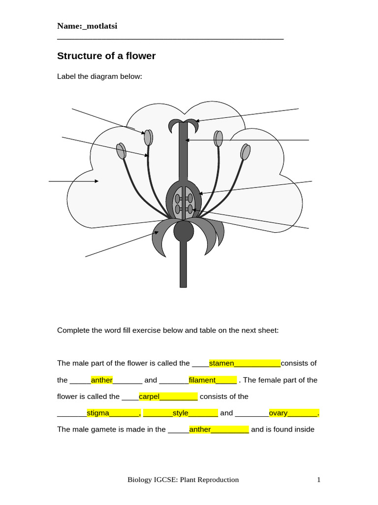 Flower Structure and Function Worksheet | PDF