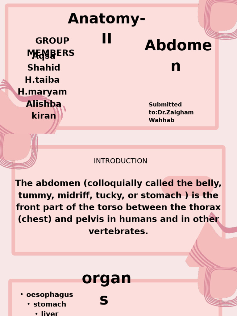 Anatomy-II 20241215 165155 0000 | PDF | Abdomen | Stomach
