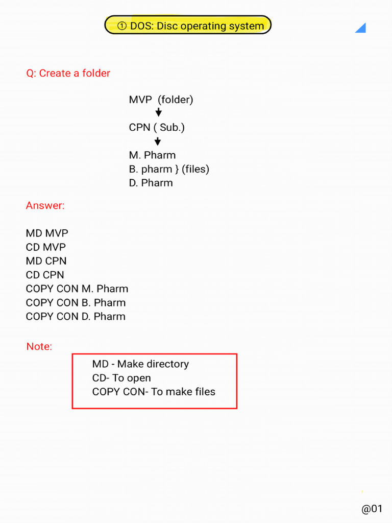Computer Application Practicals | PDF