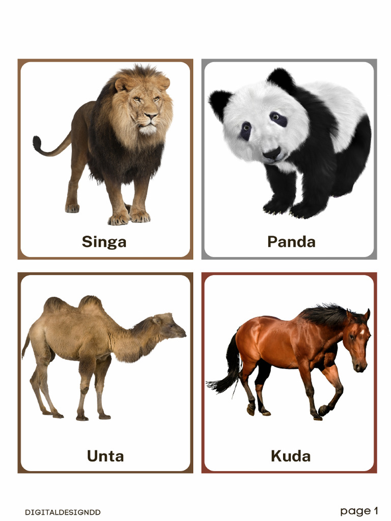 Flash Card Animal Bahasa 9 X 11cm | PDF