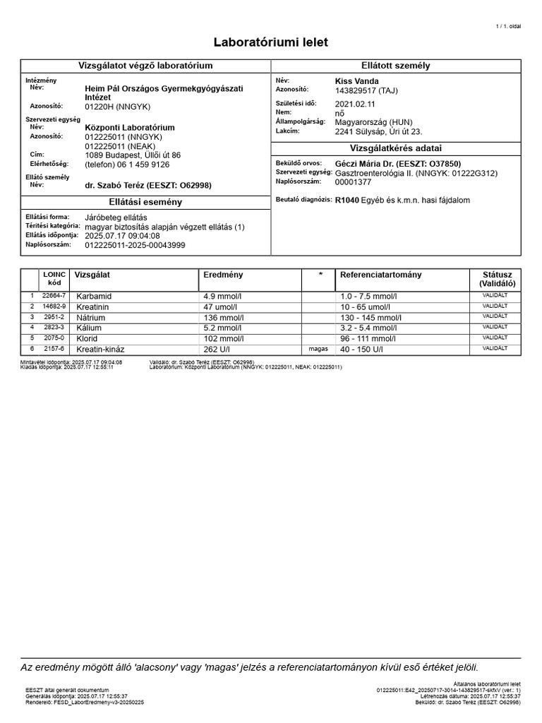Dokumentum - 2025-07-27T214642.669 | PDF