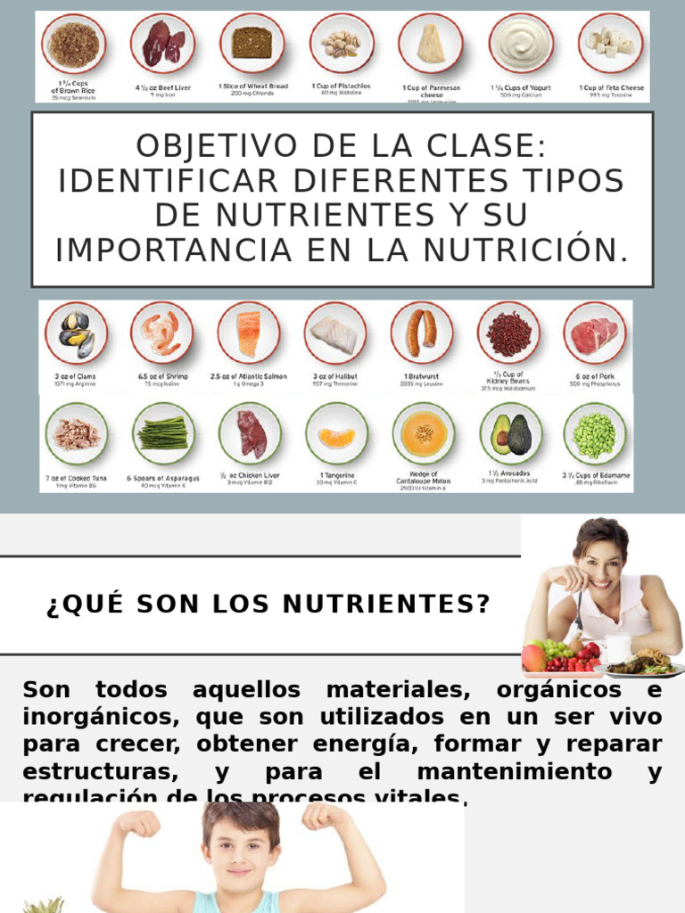 Tipos de Nutrientes y su Importancia | PDF | Nutrientes | Carbohidratos