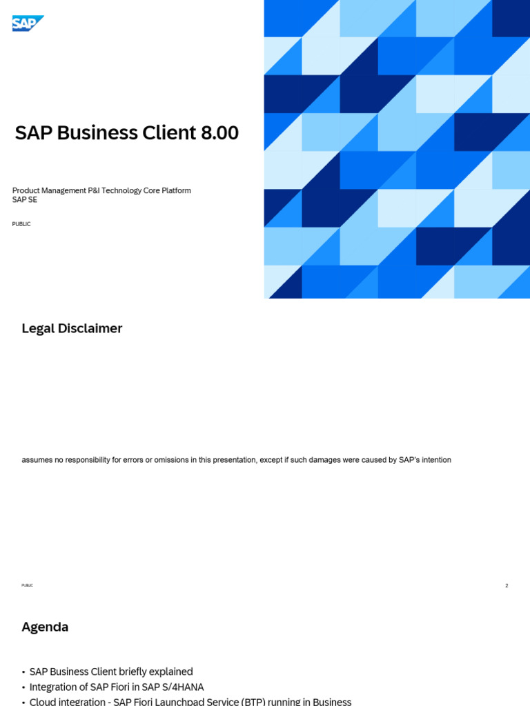 SAP Business Client 8.00 | PDF | Microsoft Windows | Mobile App