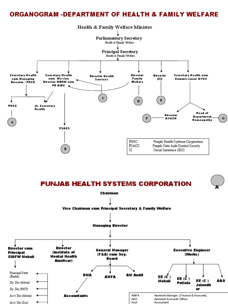 Organogram Health | PDF | Ayurveda | Homeopathy