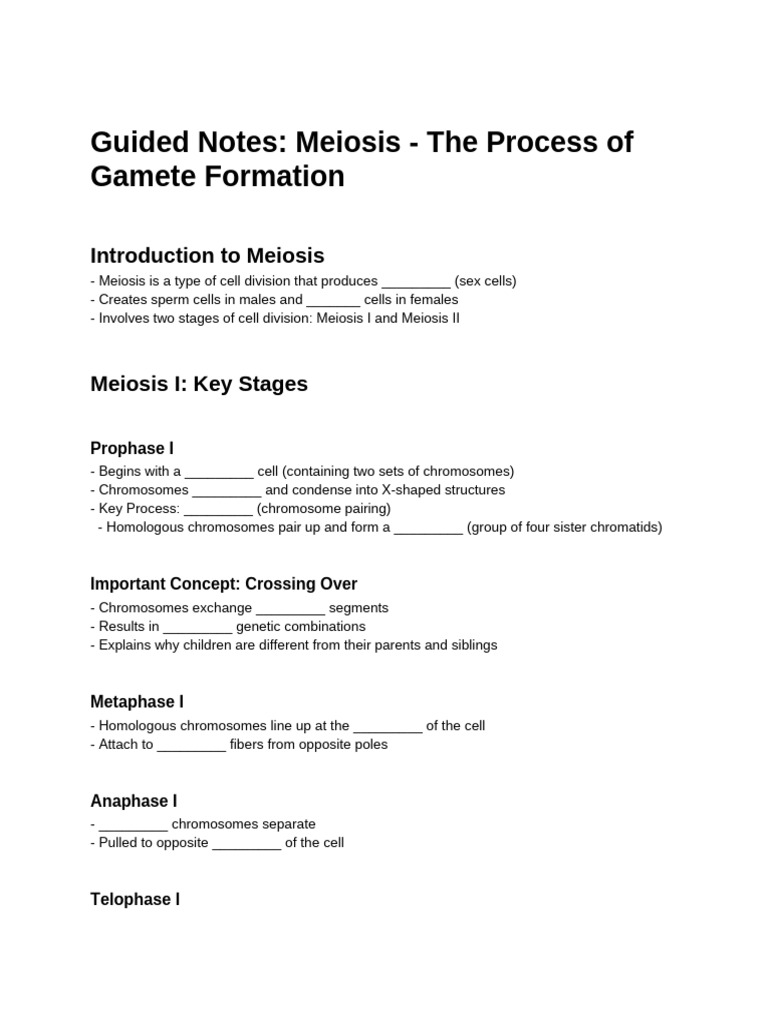 Meiosis Guided Notes and Answers | PDF