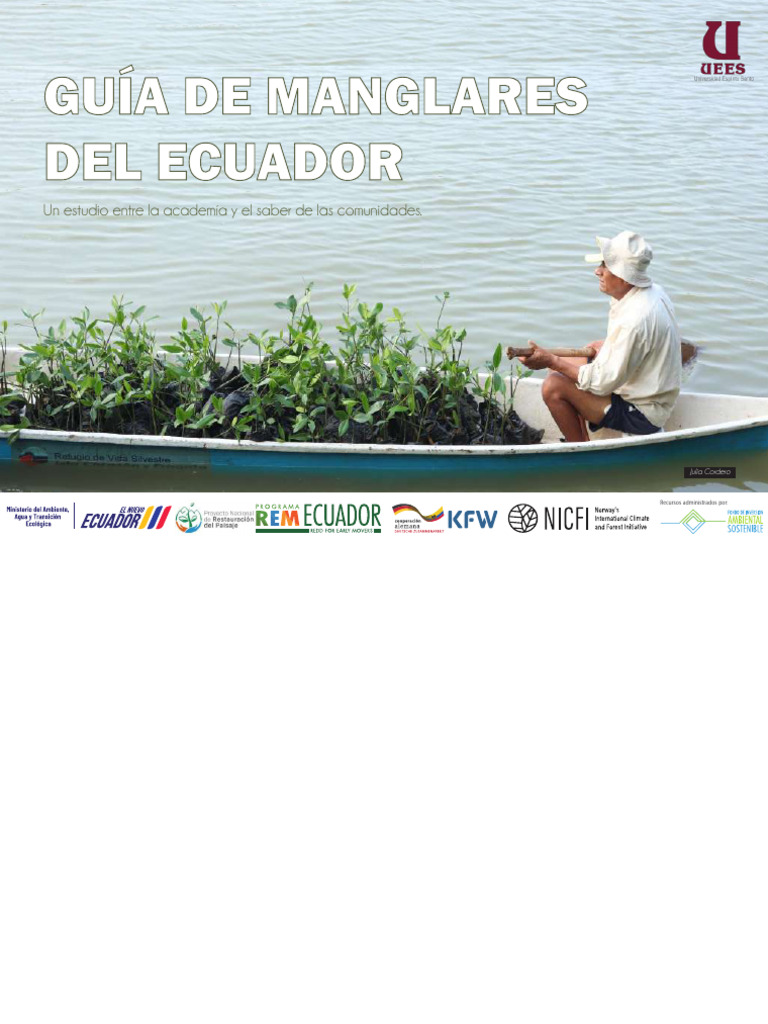 Guía de Manglares en Ecuador: Especies y Conservación | PDF | Mangle ...