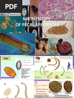 Direct Fecal Smear Method Overview | PDF | Medical Specialties ...