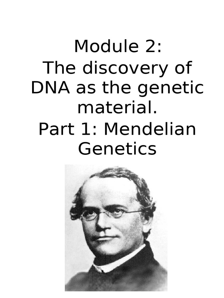 Mendelian Gentics Text Notes | PDF | Dominance (Genetics) | Genotype