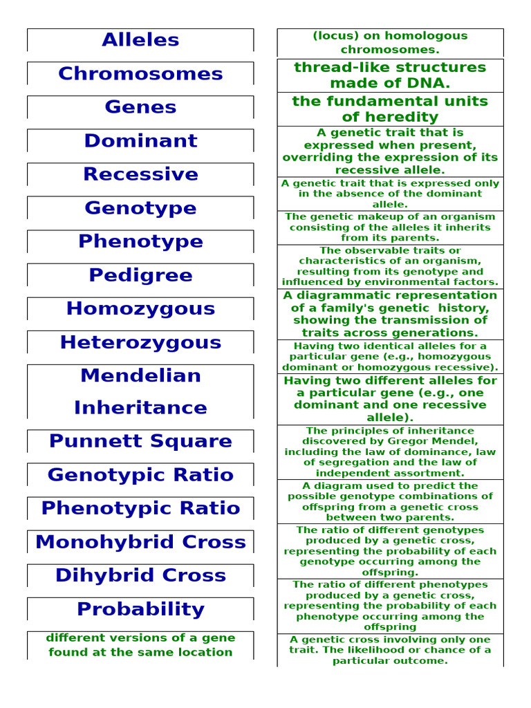 Activity Patterns of Inheritance | PDF | Dominance (Genetics) | Genotype