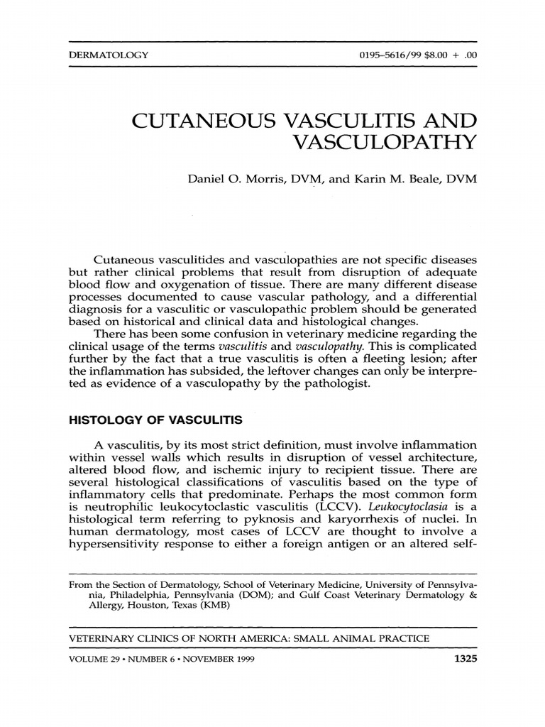 Cutaneous Vasculitis and Vasculopathy | PDF | Inflammation | Immunology