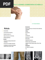 Liberacion Retinaculo Rodilla | PDF | Rodilla | Sistema musculoesquelético