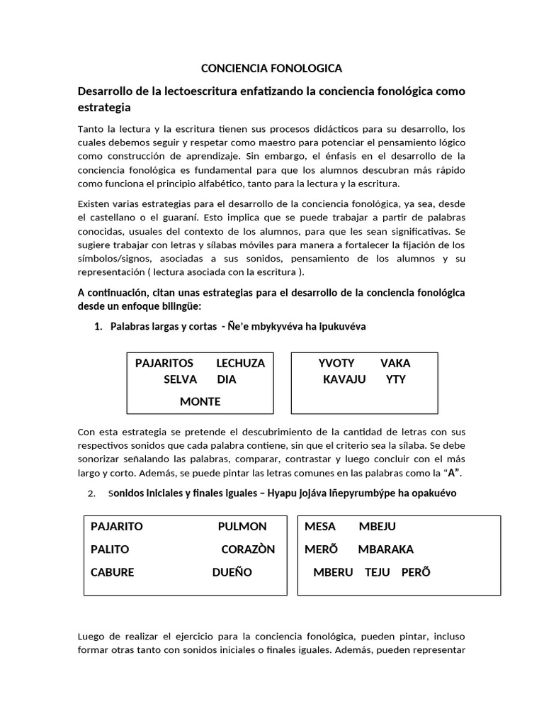 LENGUA CONCIENCIA FONOLOGICA Desarrollo de La Lectoescritura ...