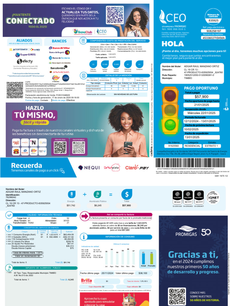 fv090036601002125FCEO1046929_991178_202501 | PDF | Finanzas personales | Comercio