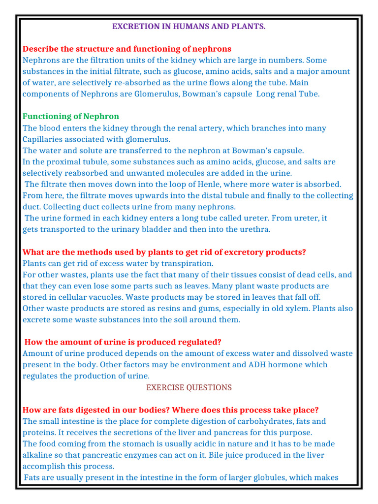 Excretion Pdf Circulatory System Digestion