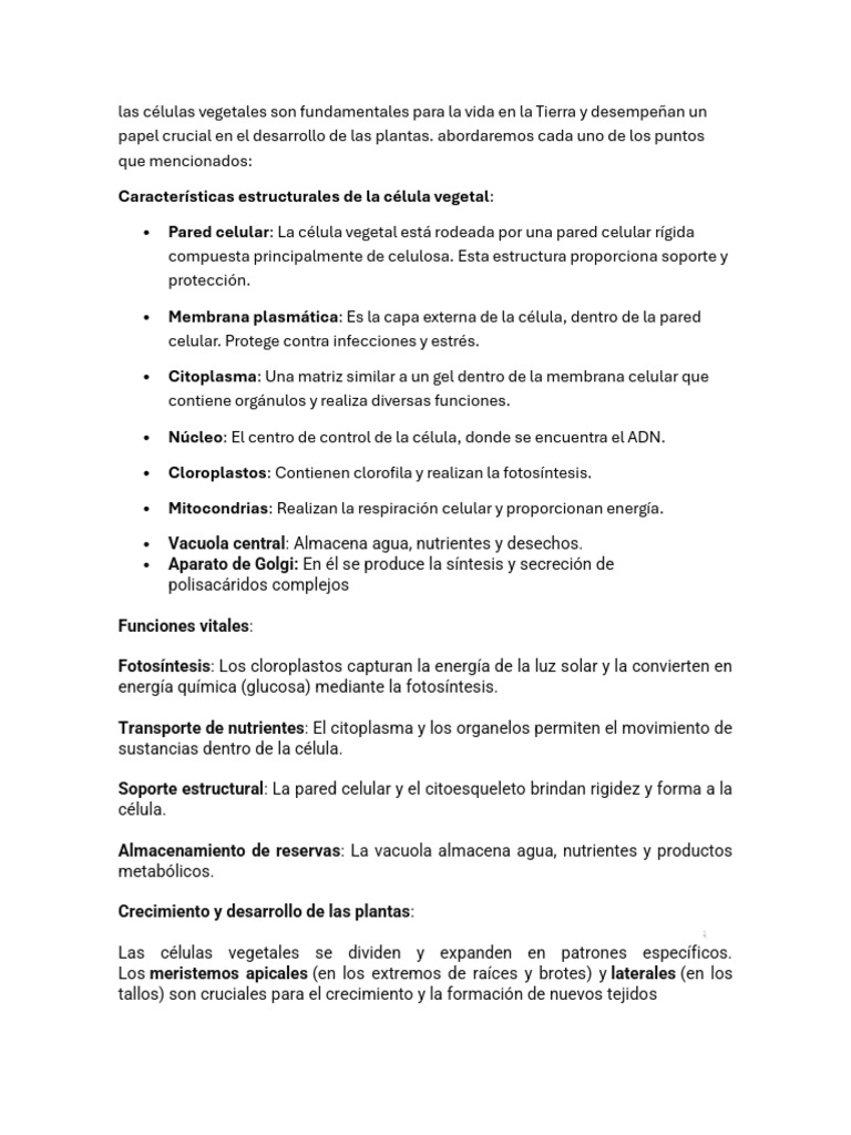 Estructura y funciones de células vegetales | PDF