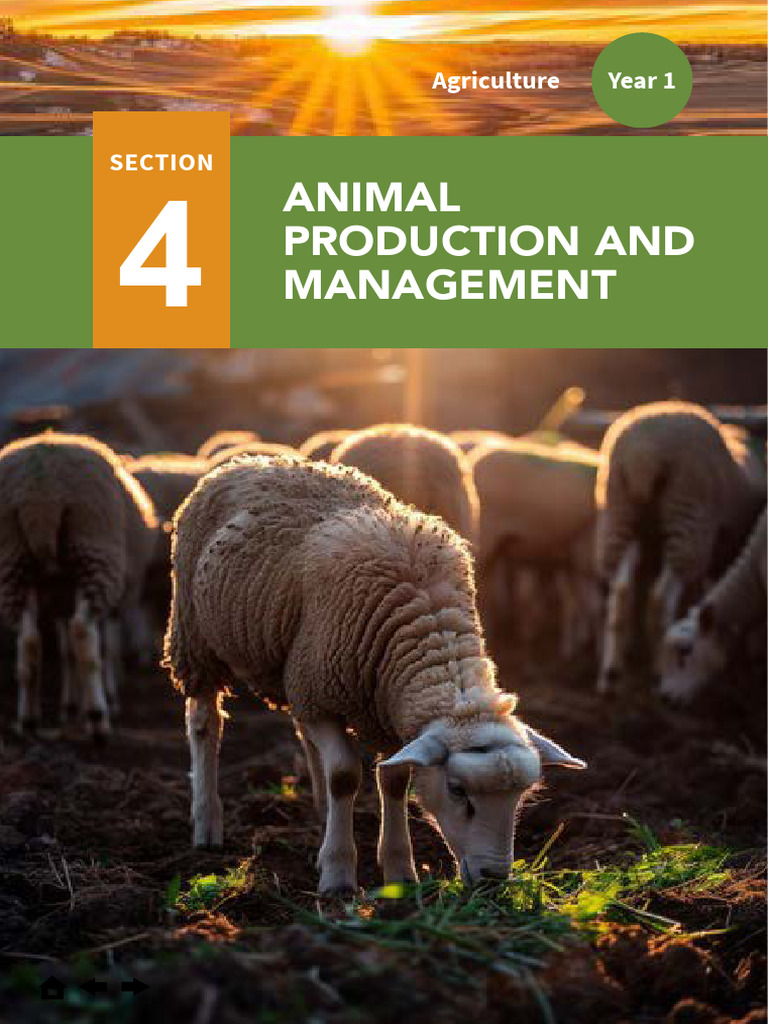 Overview of Animal Production Management | PDF | Agriculture | Livestock