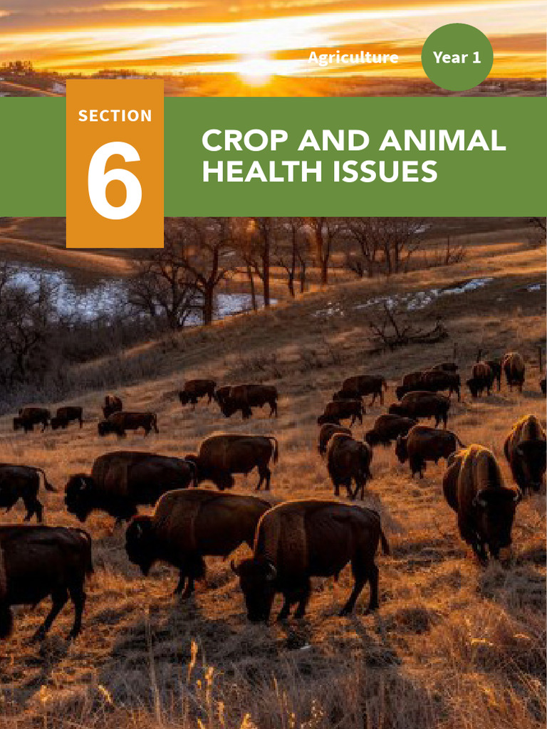 Farm Hygiene and Sanitation Practices | PDF | Hygiene | Sanitation
