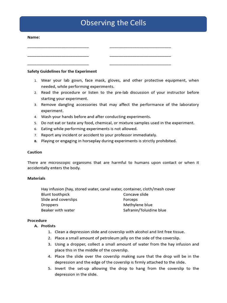 STEM FORWARD Worksheet (Biology) | PDF