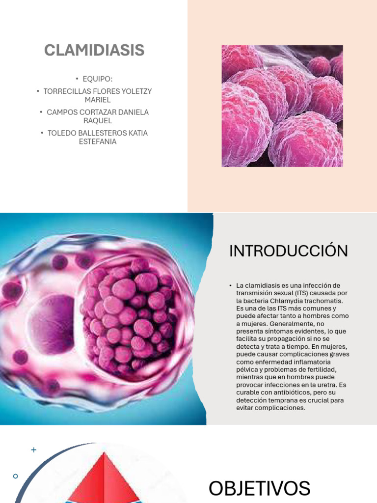 Clamidiasis: Síntomas, Diagnóstico y Tratamiento | PDF | Infección ...
