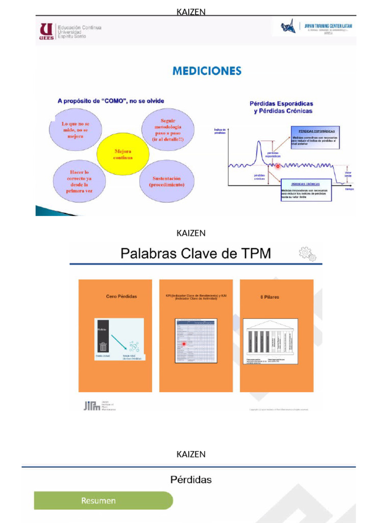 Presentacion de Grandes Peridas | PDF