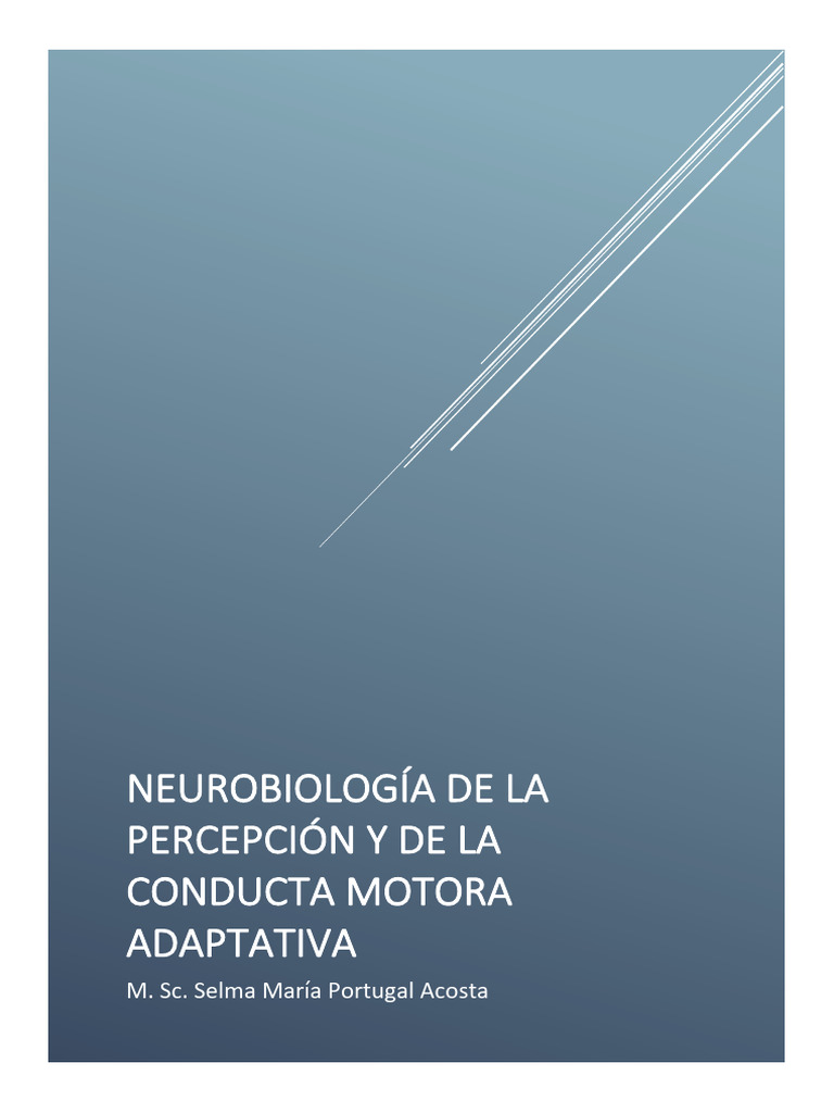 Neurobiología de La Percepción Y de La Conducta Motora Adaptativa | PDF ...