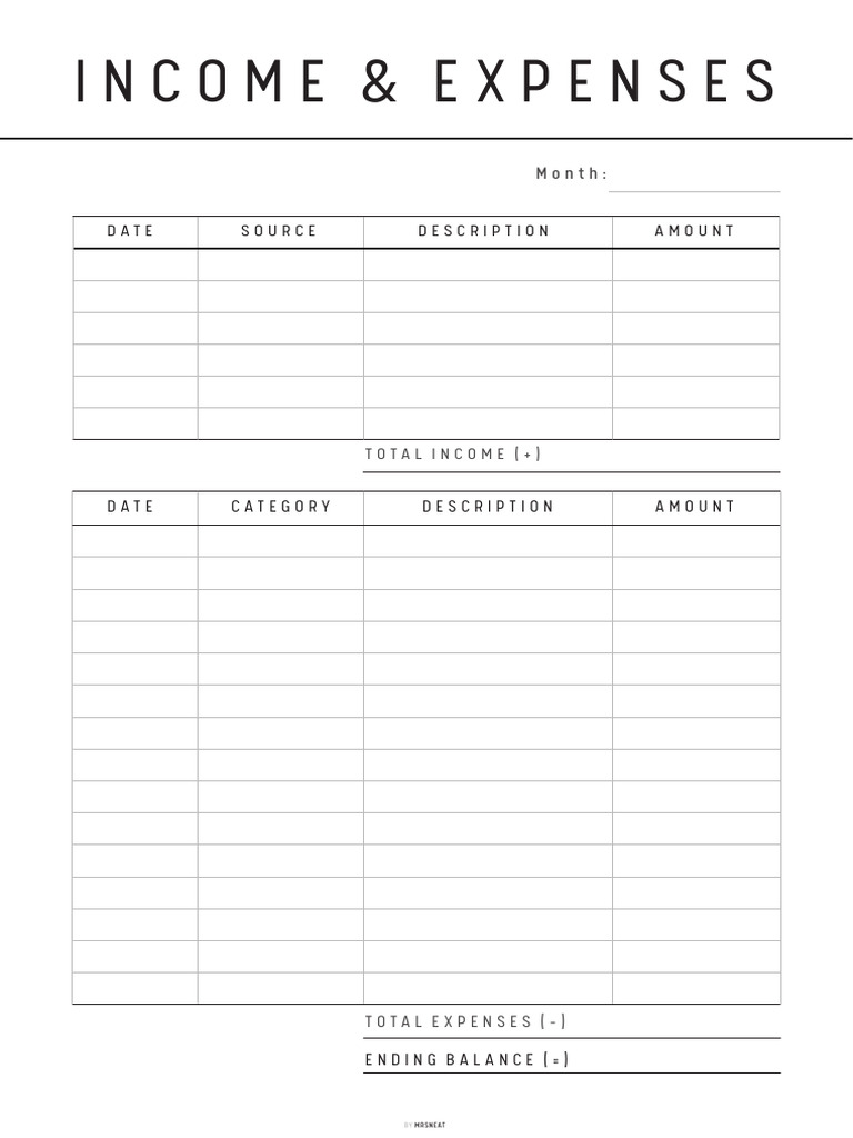 Fillable - Income and Expense | PDF | Expense | Financial Accounting